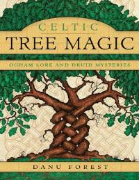 Celtic Tree Magic: Ogham Lore and Druid Mysteries | Danu Forest ...