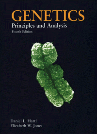 Protein Bioinformatics: From Protein Modifications and Networks to ...