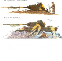 German Tanks in Normandy 1944: The Panzer, Sturmgeschütz and ...