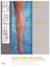 Lower Limb Anatomy, Palpation, Surface Markings | Derek Field Grad Dip ...