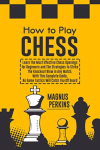 Chess Structures: A Grandmaster Guide - Standard Patterns and Plans ...