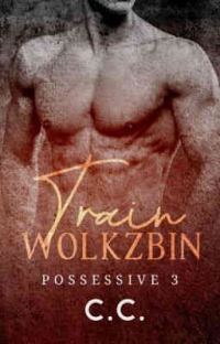 Chasing the Sun (College Series #1) | inksteady | download on Z-Library