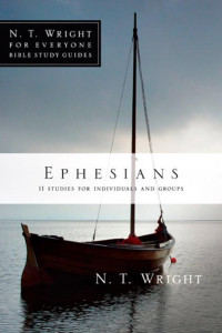 Paul's Letter to the Romans: A pastoral commentary | Edwin Walhout ...
