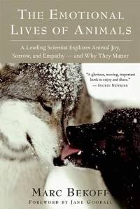 Canine Body Language | Brenda Aloff | download on Z-Library