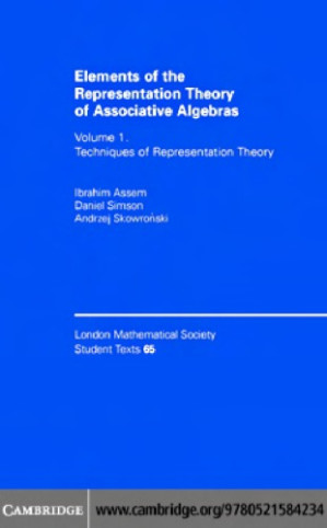 Elements of the Representation Theory of Associative Algebras: Volume 1 ...