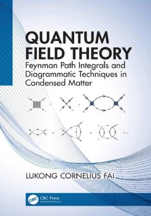 Quantum Field Theory : Feynman Path Integrals and Diagrammatic ...