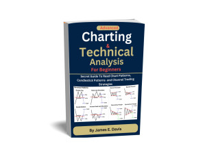 Advanced Charting and Technical Analysis For Beginners - Anna’s Archive