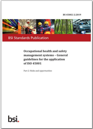 BS 45002-2:2019 Occupational health and safety management systems ...