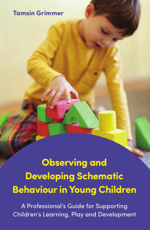 Observing and Developing Schematic Behaviour in Young Children: A ...