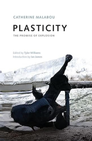 Plasticity : the promise of explosion - Anna’s Archive