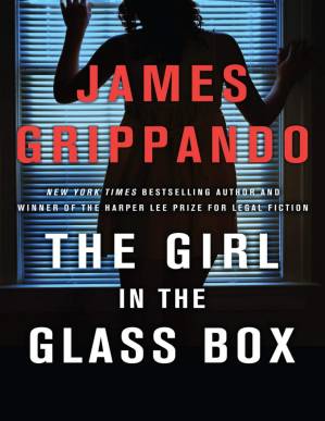 The Girl in the Glass Box: A Jack Swyteck Novel - El Archivo de Anna